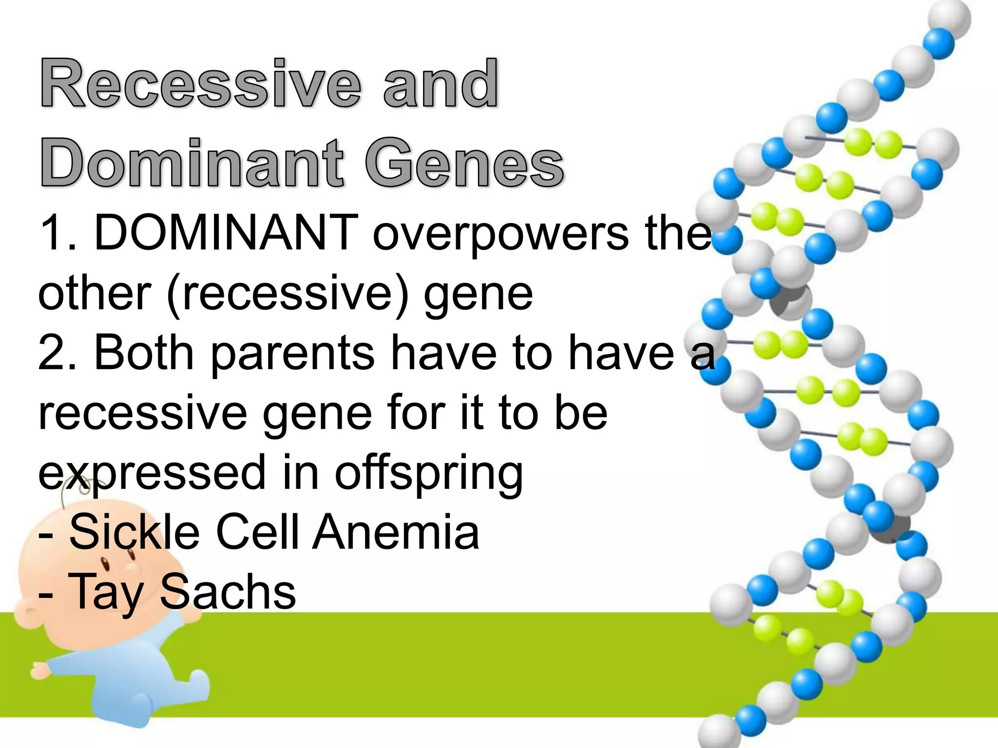 Chromosomes & Genes | PPTX