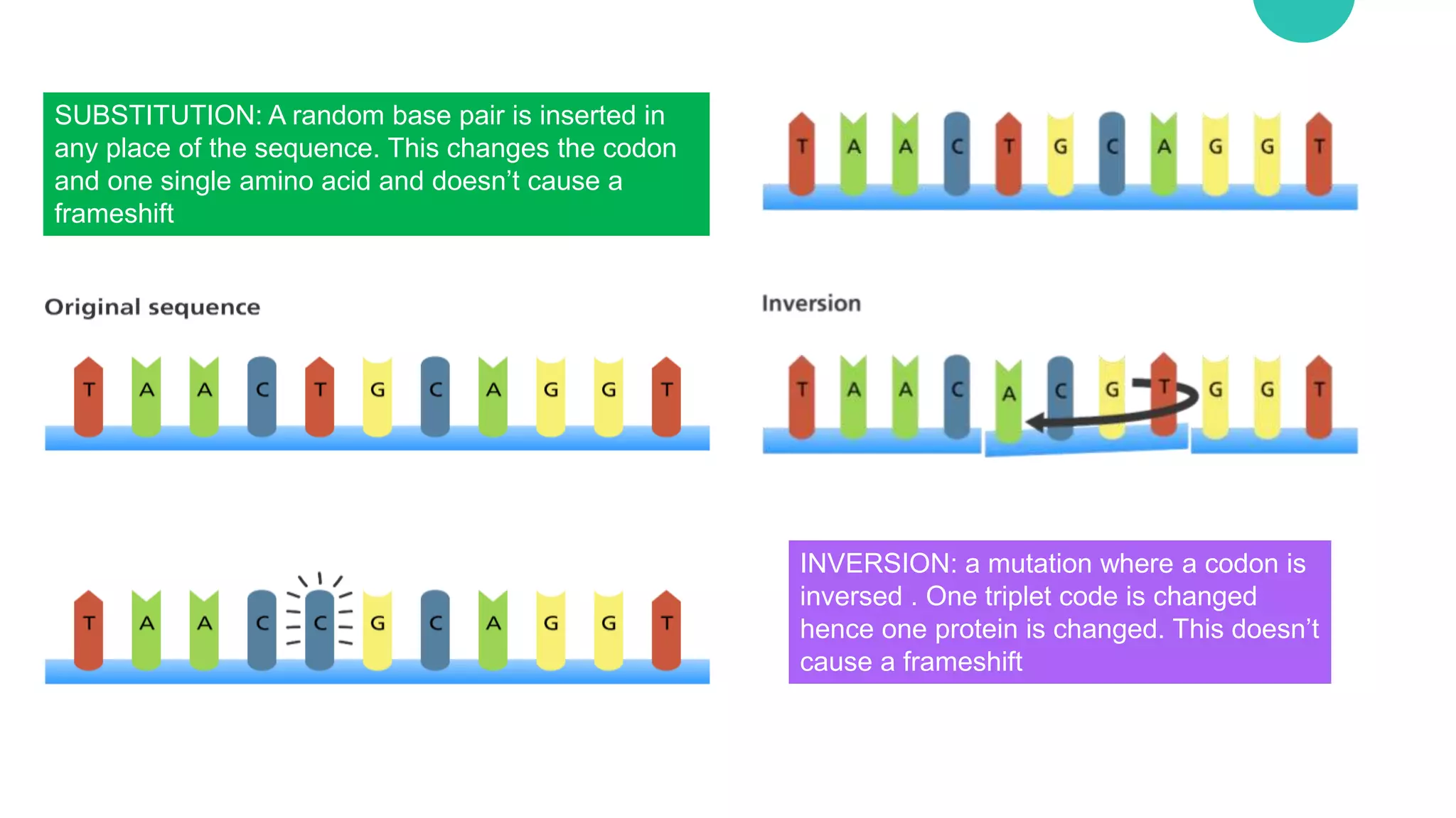 Chromosomes, genes and dna ppt | PPTX