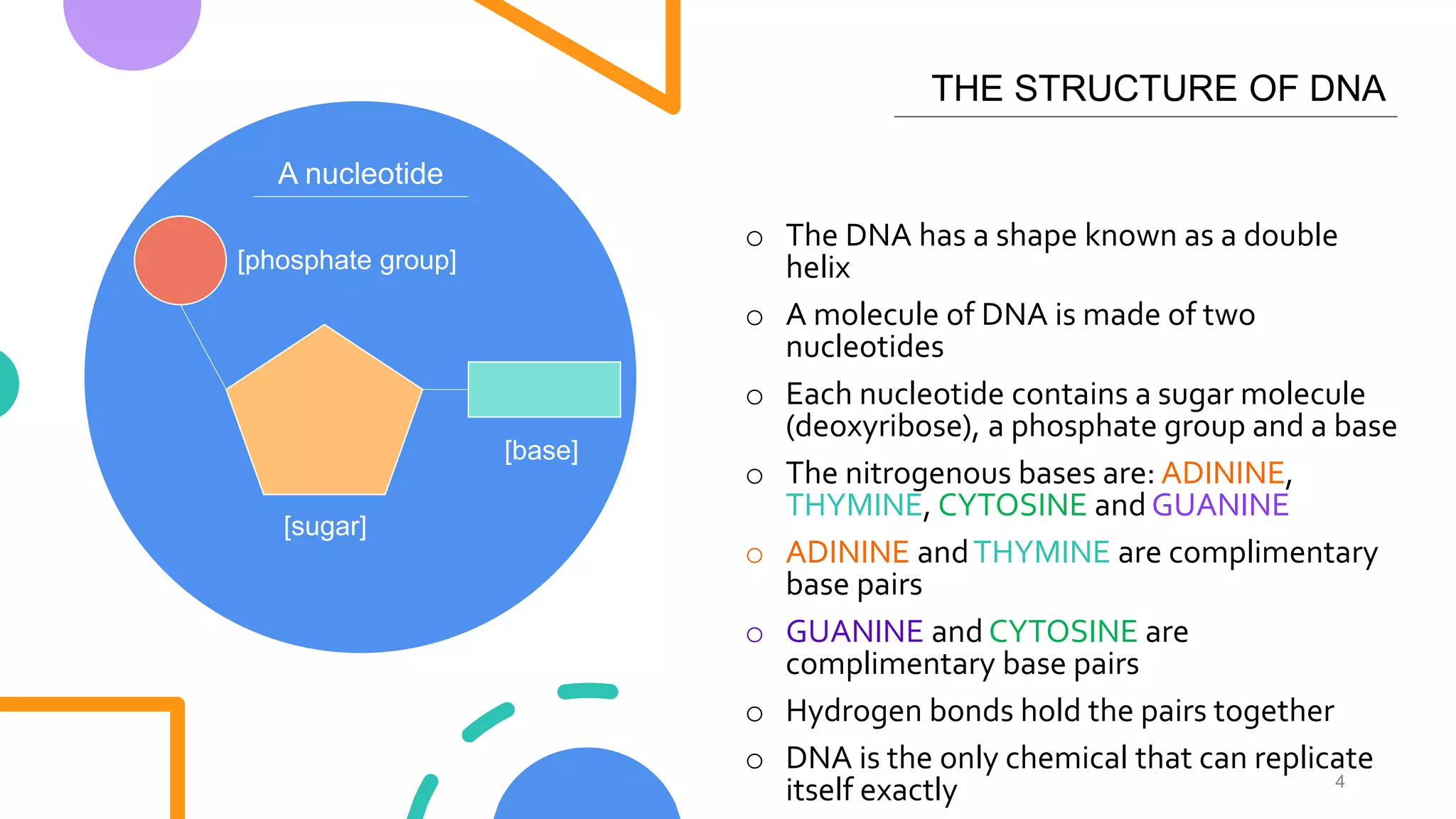 Chromosomes, genes and dna ppt | PPTX