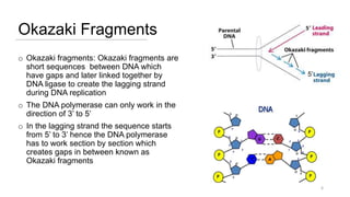 Chromosomes, genes and dna ppt | PPTX