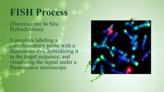 Chromosomes Identification general presentation | PPTX