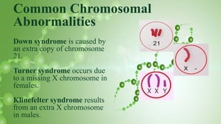 Chromosomes Identification general presentation | PPTX