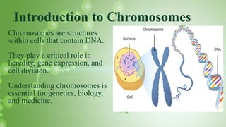 Chromosomes Identification general presentation | PPTX