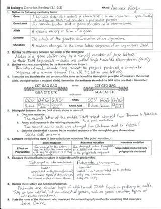 Meiosis Review Worksheet