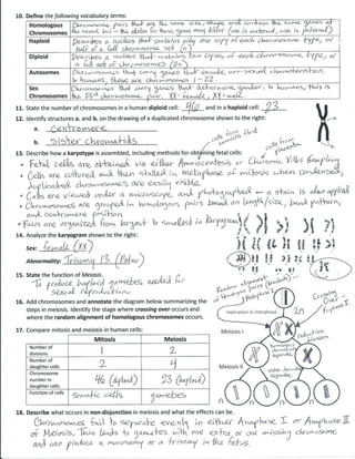 Meiosis Review Worksheet