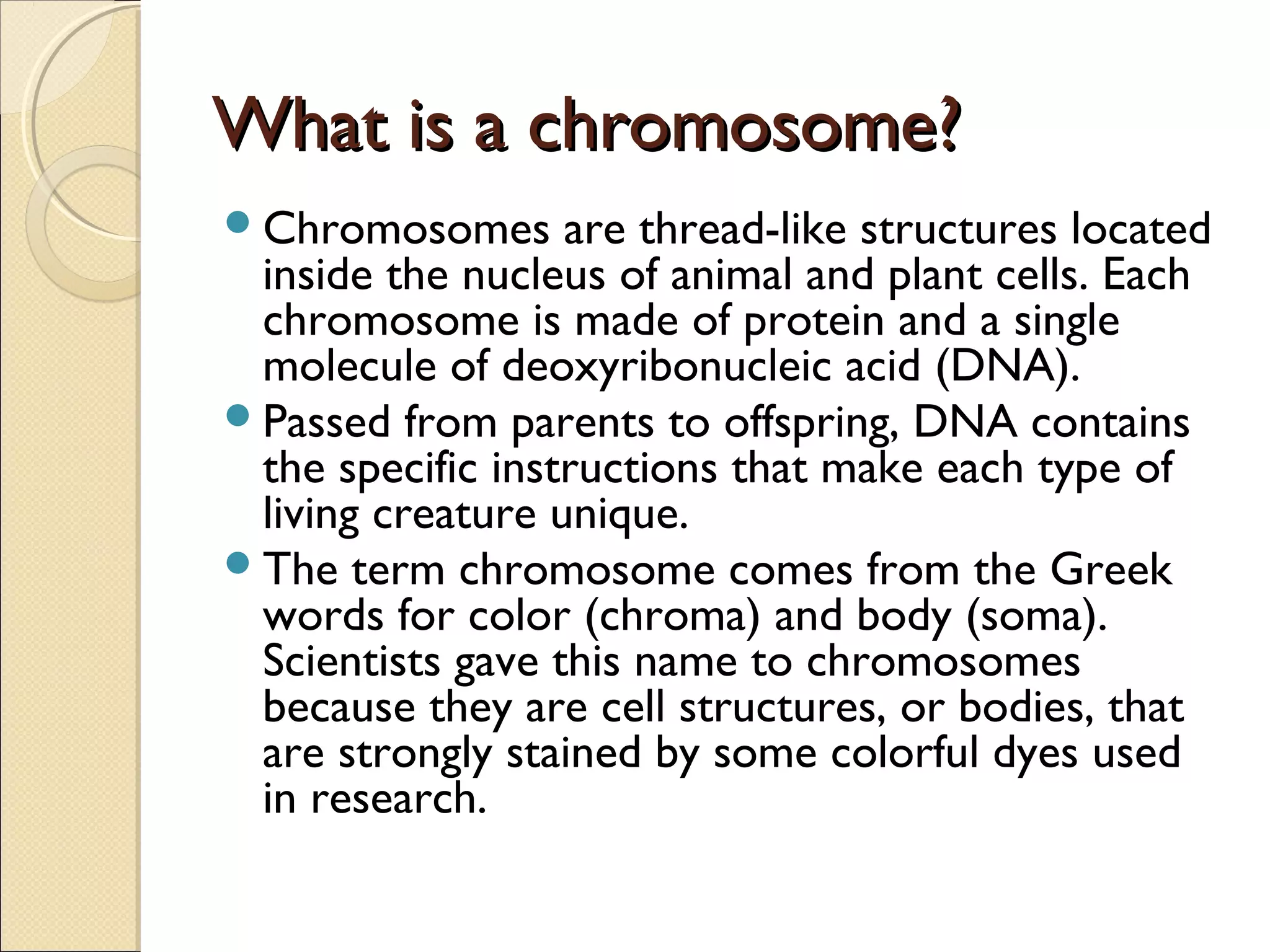 Chromosomes and cell cycle | PPT