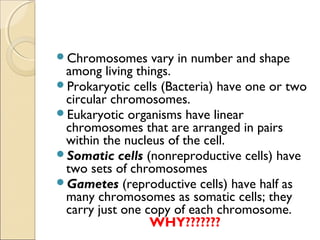 Chromosomes and cell cycle | PPT