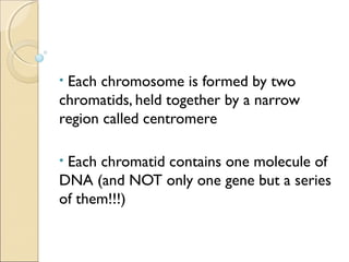 Chromosomes and cell cycle | PPT