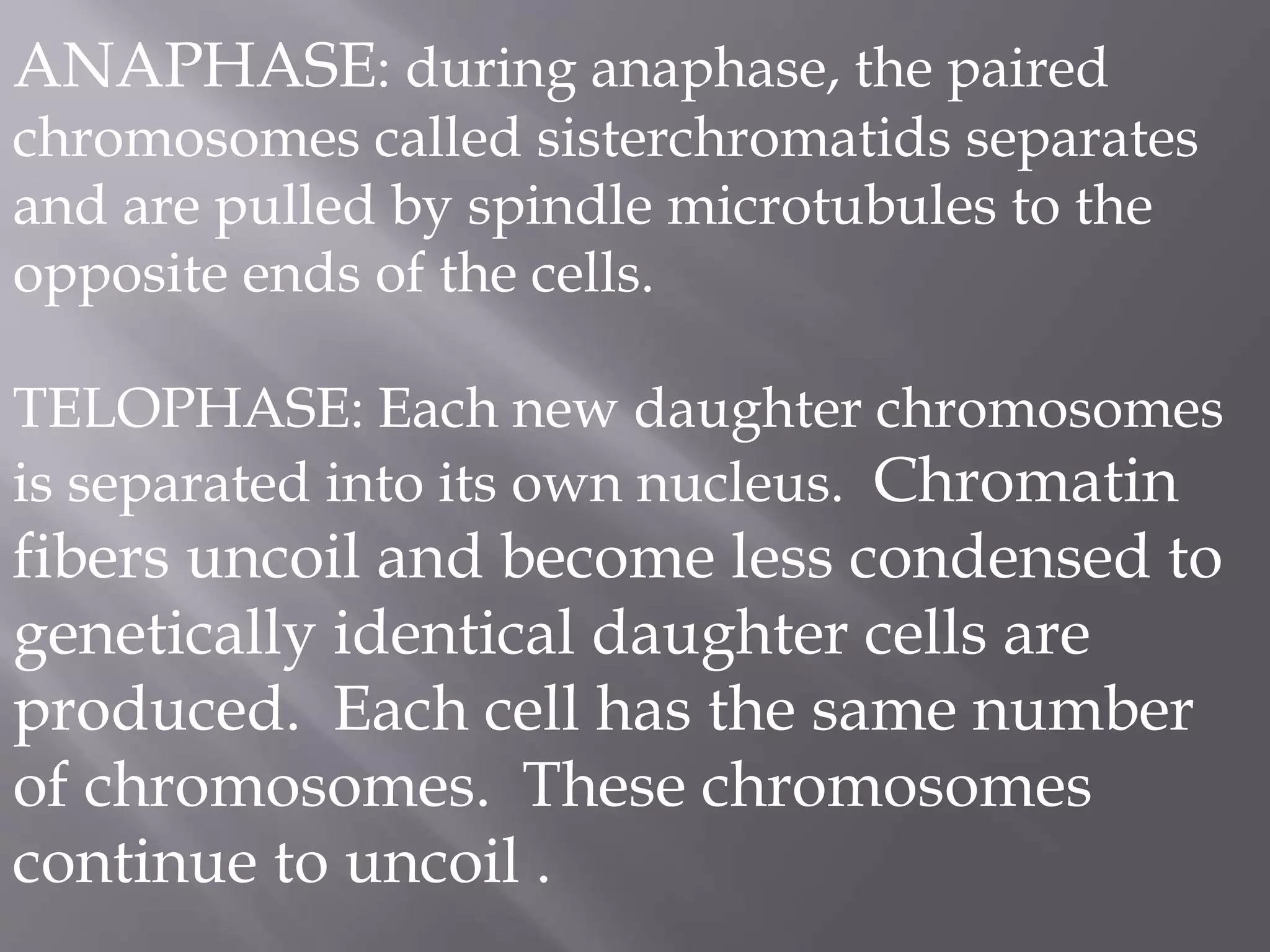 Chromatin, types and functions of chromatin | PPTX