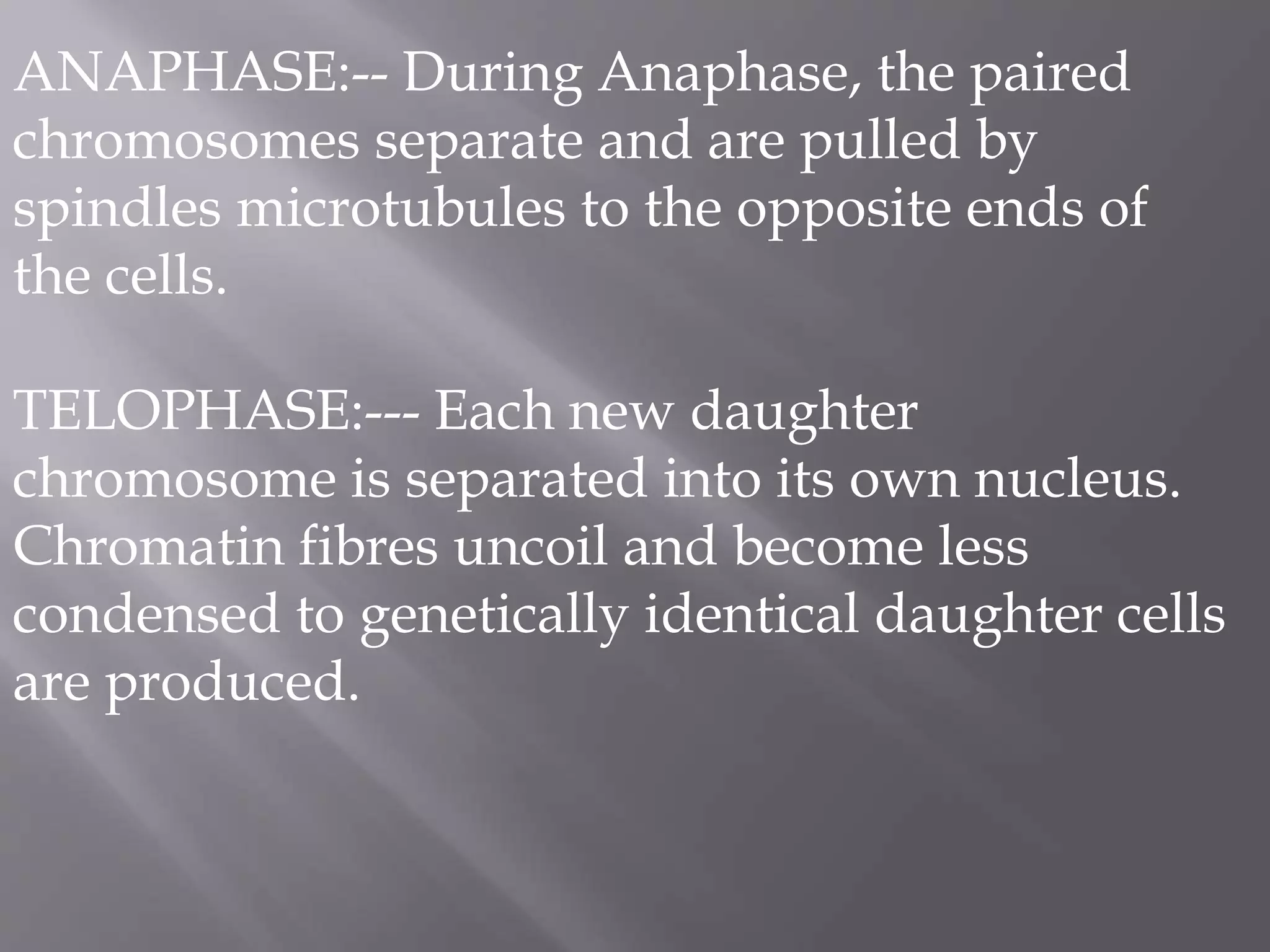 Chromatin, types and functions of chromatin | PPTX