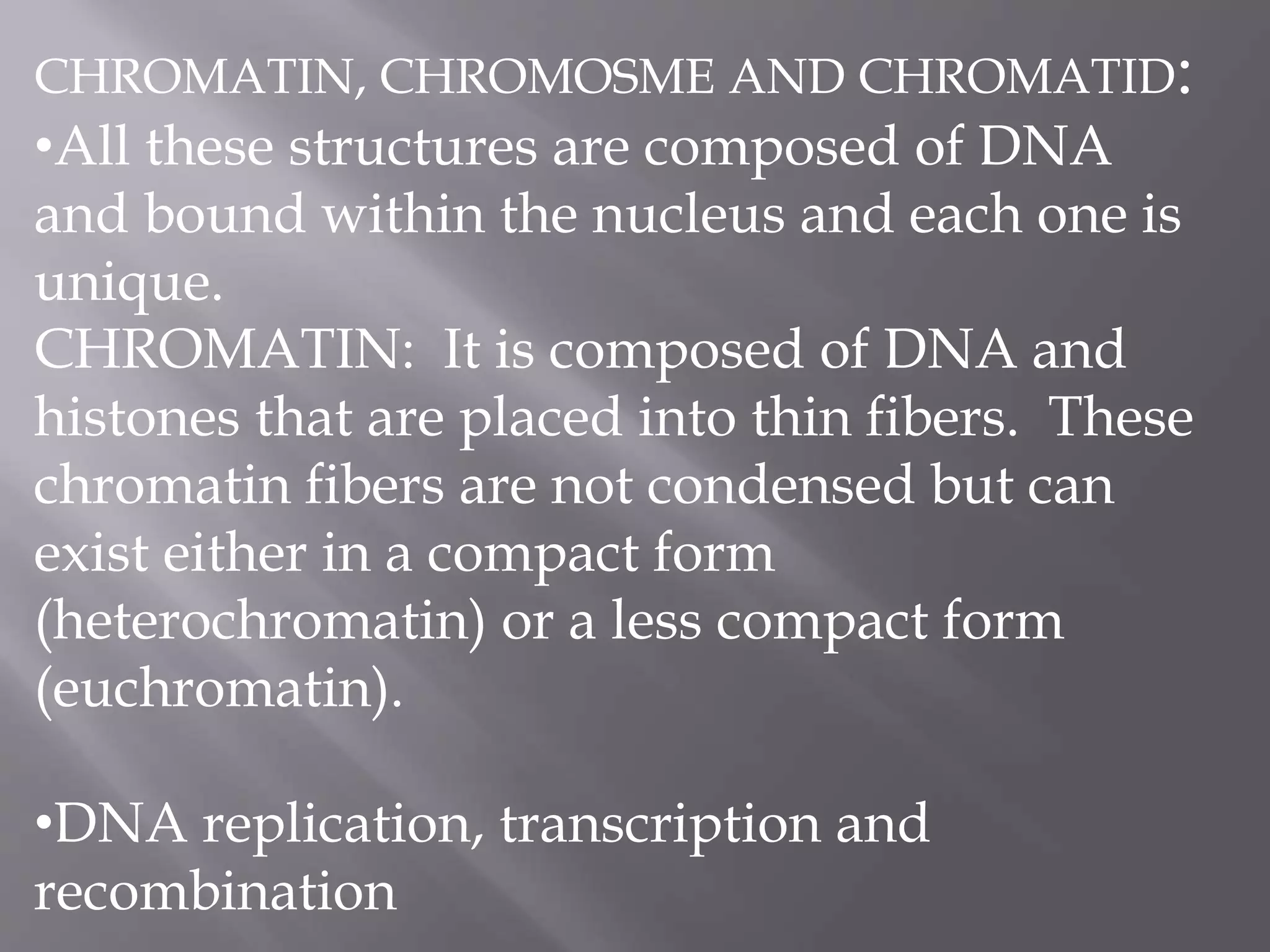 Chromatin, types and functions of chromatin | PPTX