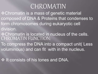 Chromatin, types and functions of chromatin | PPTX