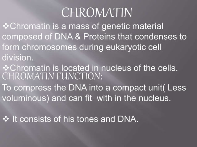 Chromatin, types and functions of chromatin | PPTX | Biological ...