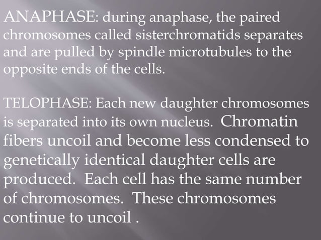 Chromatin, types and functions of chromatin | PPTX | Biological ...