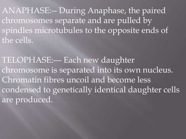 Chromatin, types and functions of chromatin | PPTX | Biological ...