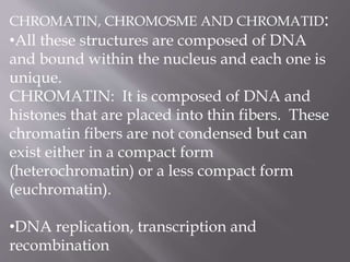 Chromatin, types and functions of chromatin | PPTX