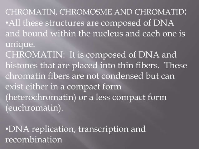Chromatin, types and functions of chromatin | PPTX | Biological ...