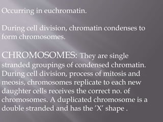 Chromatin, types and functions of chromatin | PPTX