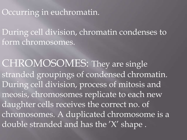 Chromatin, types and functions of chromatin | PPTX | Biological ...