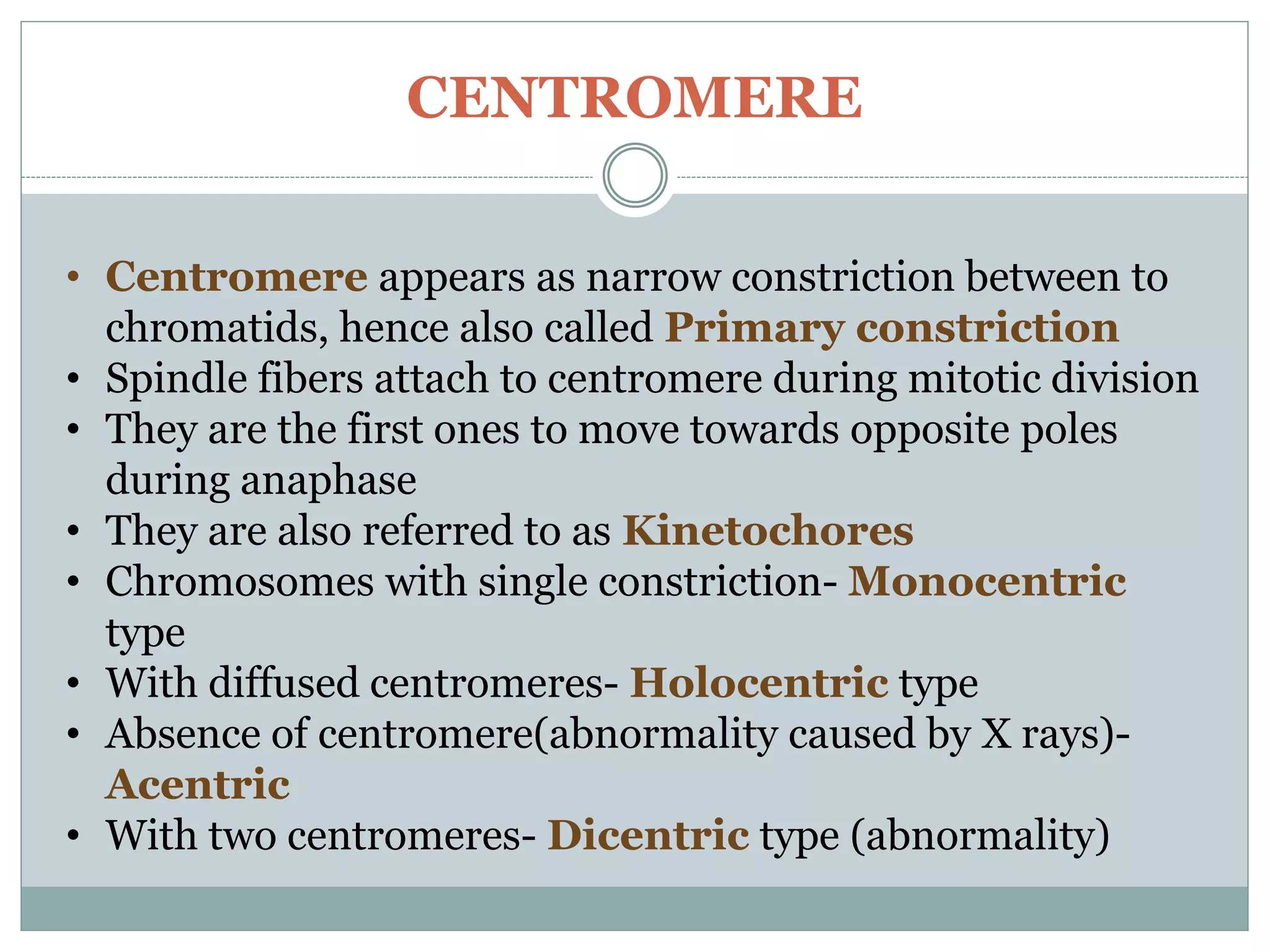 Chromosomes structure and morphology | PPT