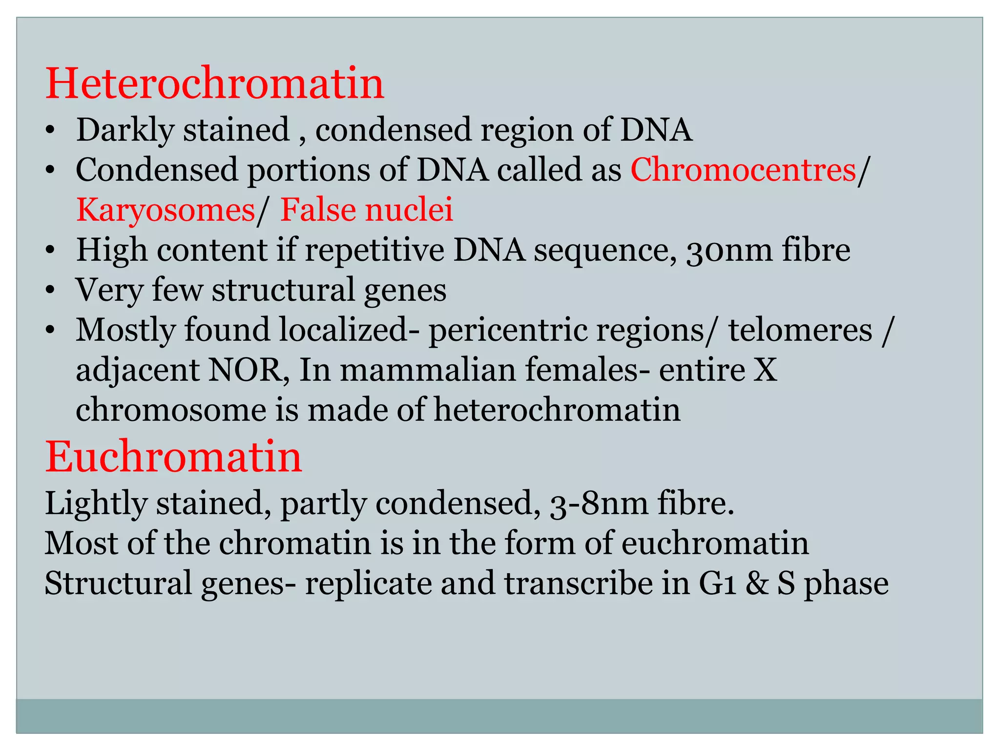 Chromosomes structure and morphology | PPT