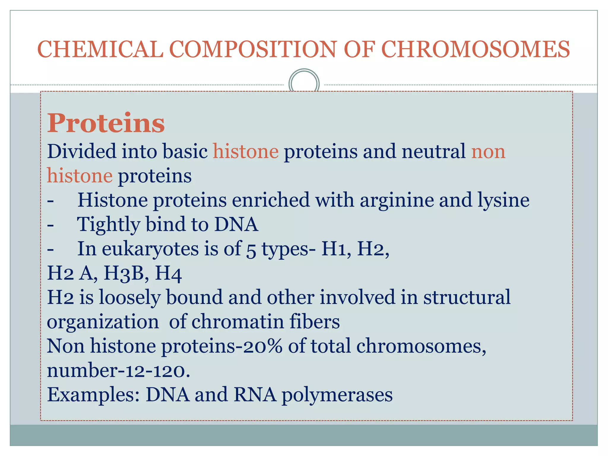 Chromosomes structure and morphology | PPT