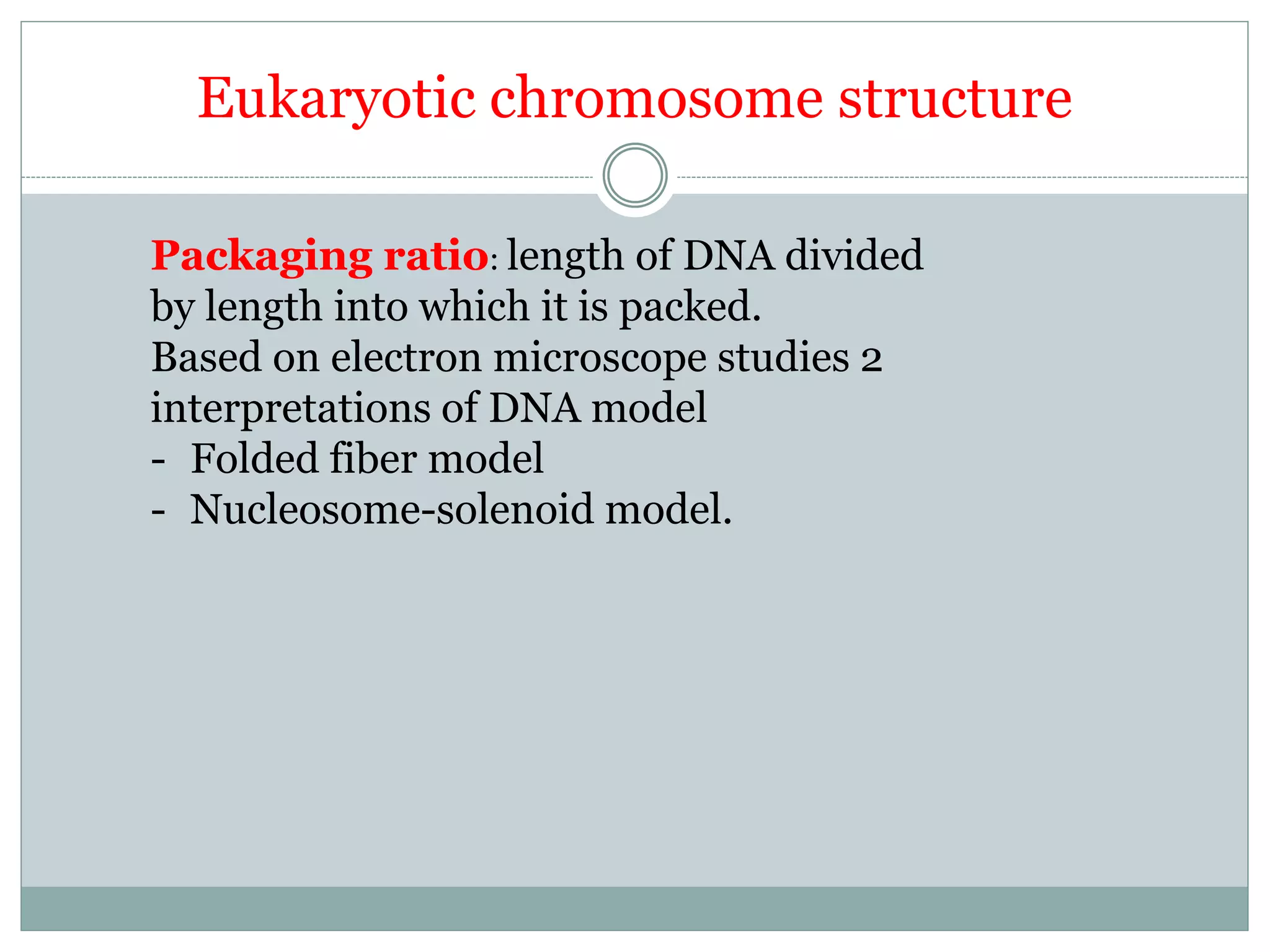 Chromosomes structure and morphology | PPT