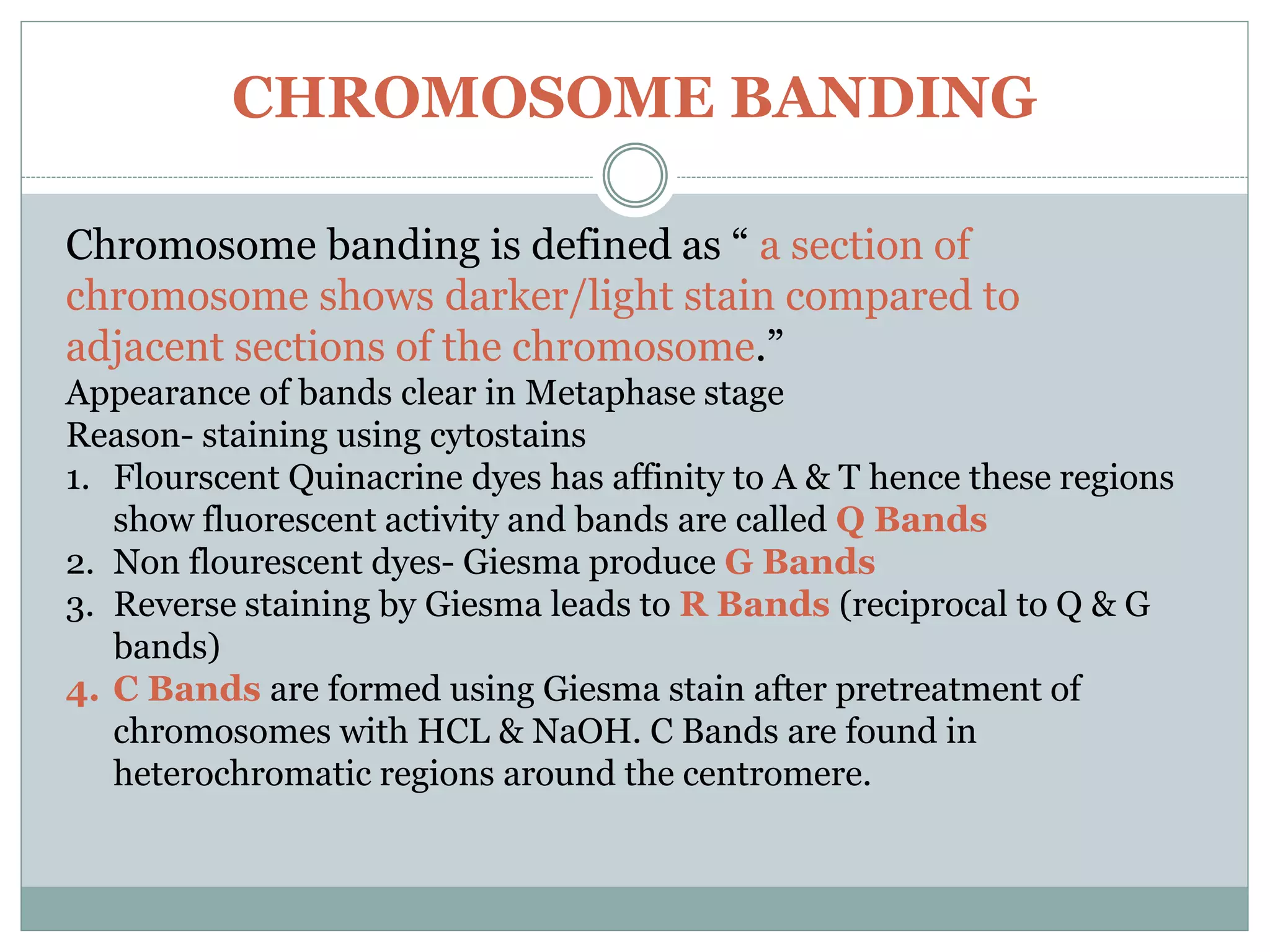 Chromosomes structure and morphology | PPT