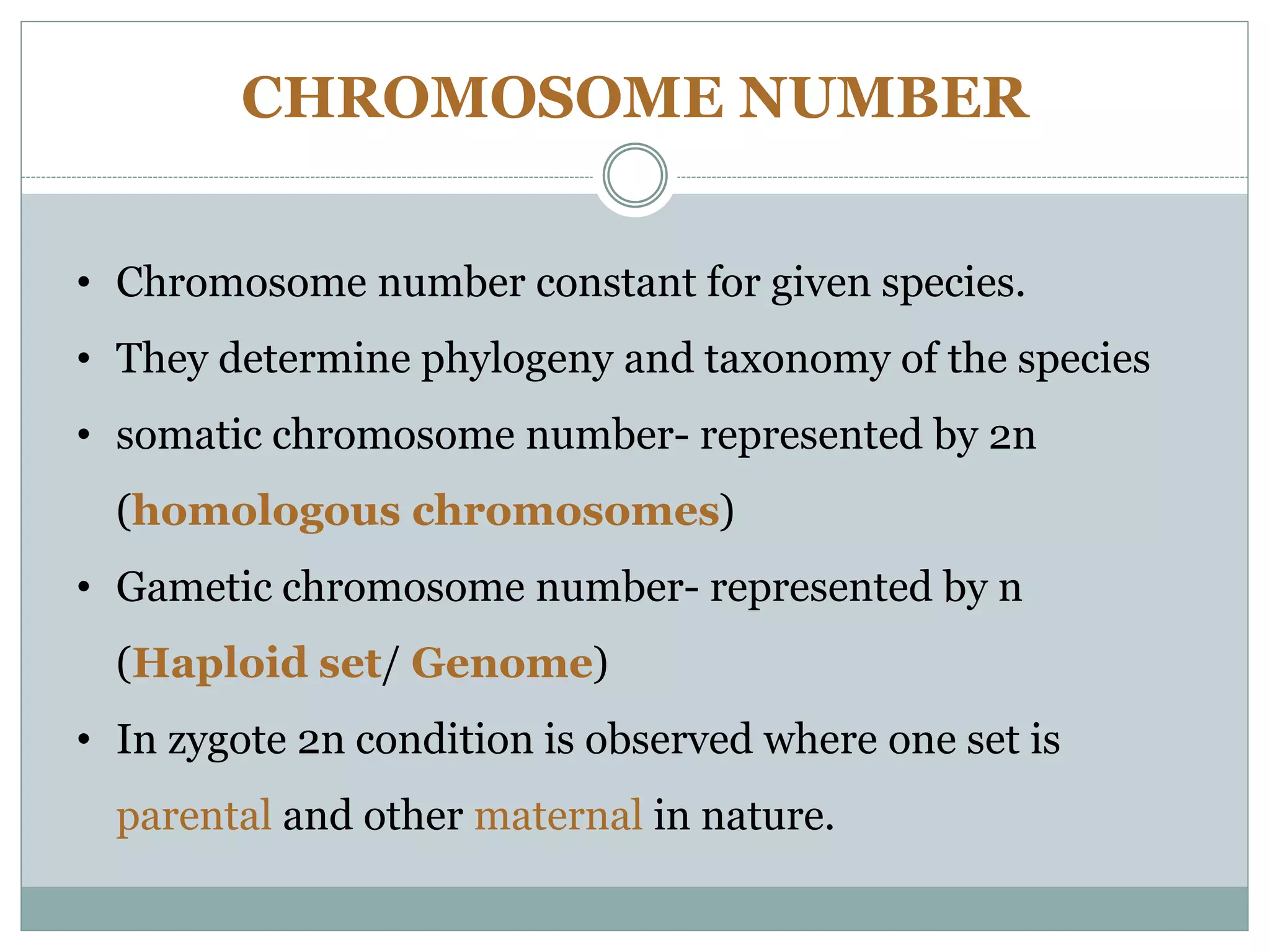 Chromosomes structure and morphology | PPT
