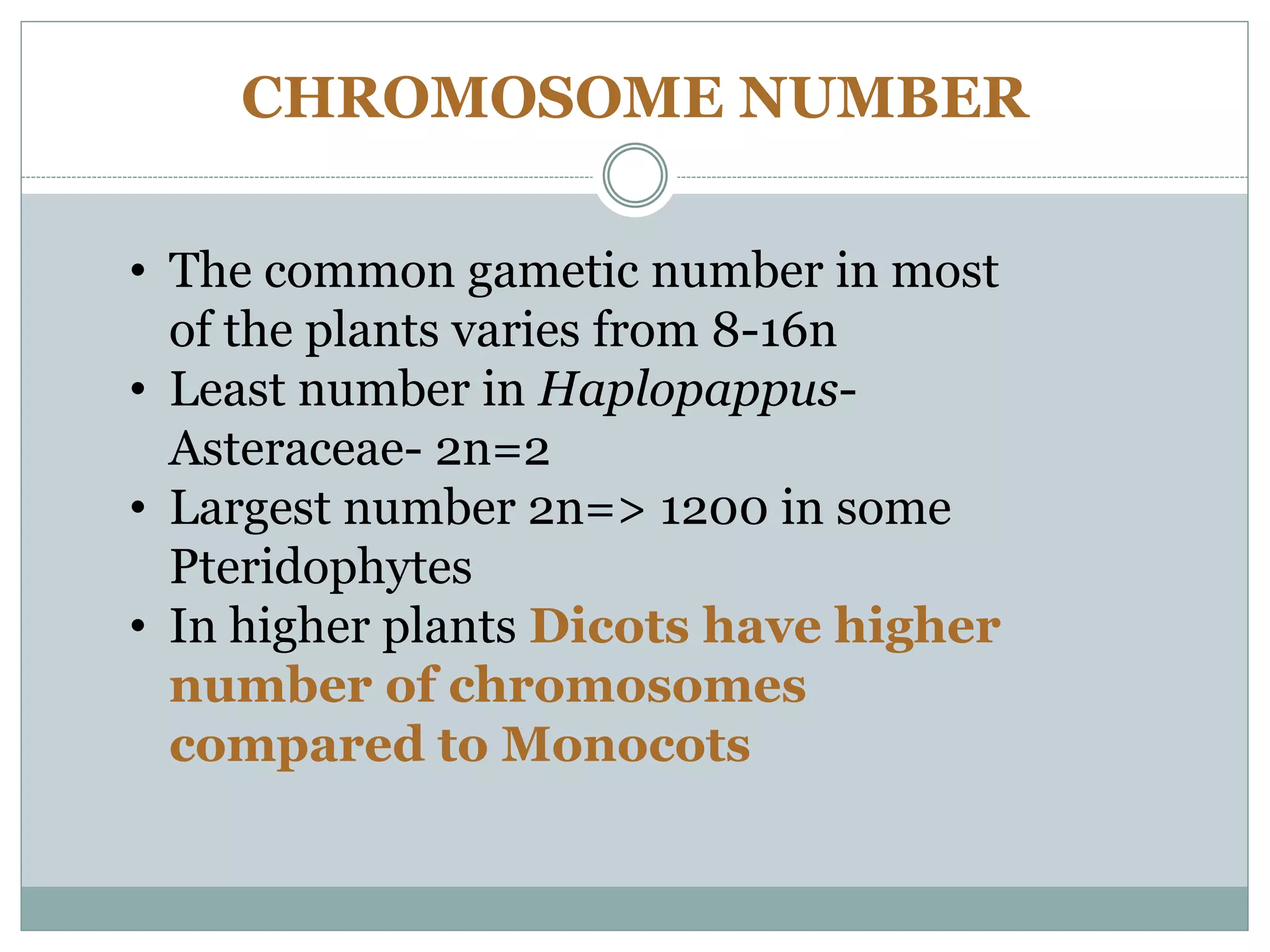 Chromosomes structure and morphology | PPT