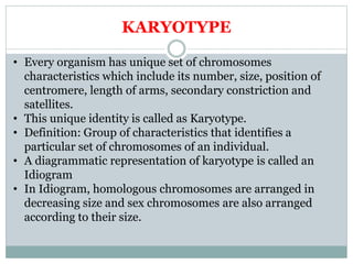 Chromosomes structure and morphology | PPT