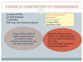 Chromosomes structure and morphology | PPT