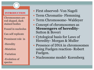 Chromosomes structure and morphology | PPT