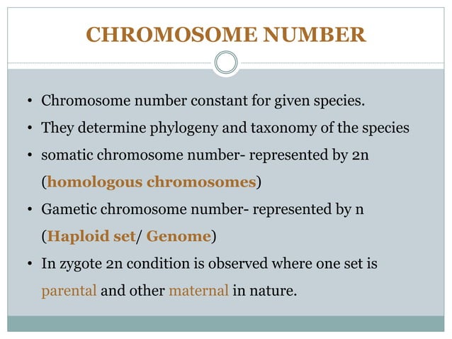 Chromosomes structure and morphology | PPT | Biological Sciences | Science