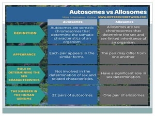 Chromosomes structure and morphology | PPT