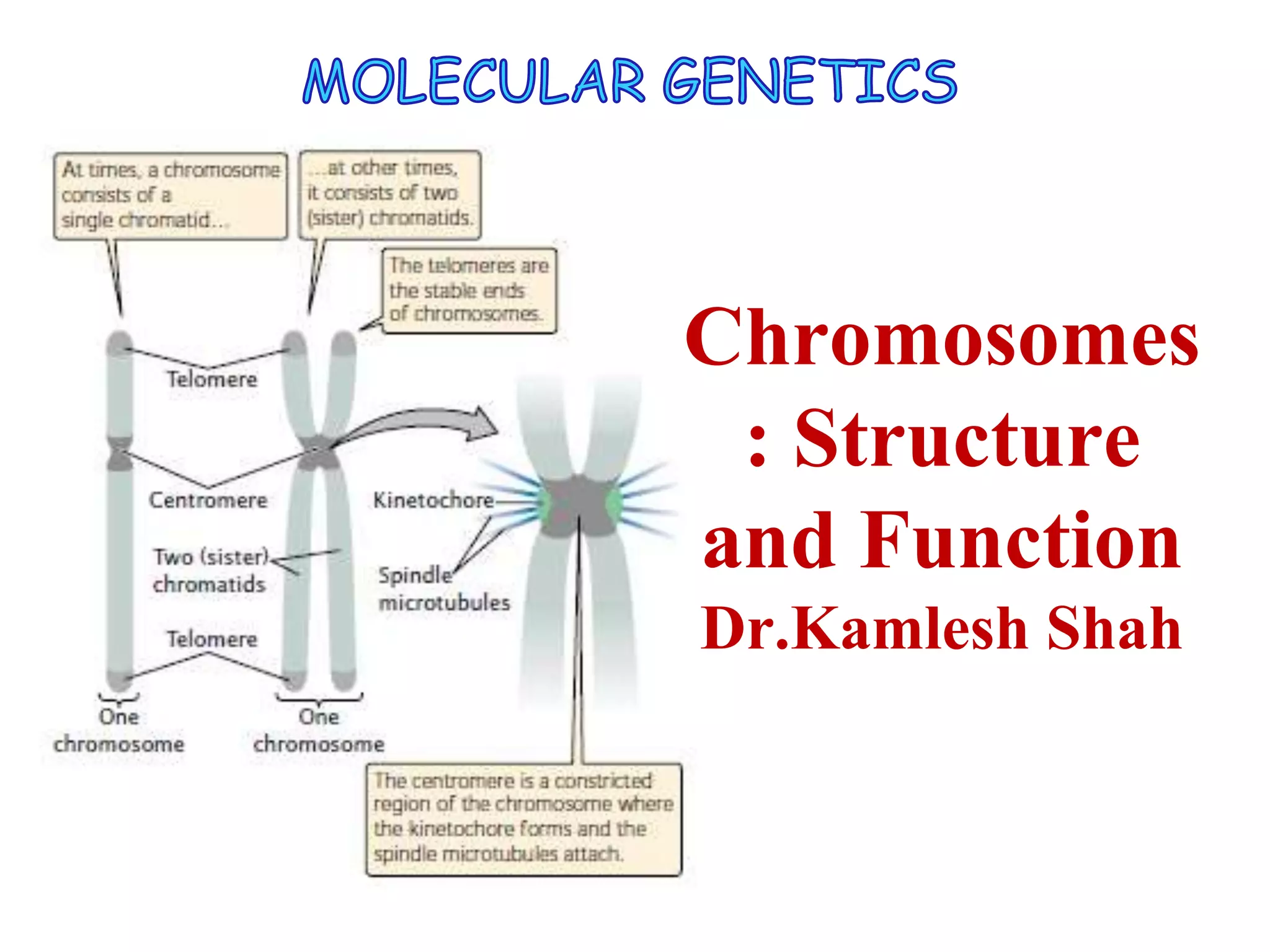 Chromosomes structure and function, Dr.Kamelsh shah, PSSHDA, KADI | PPT
