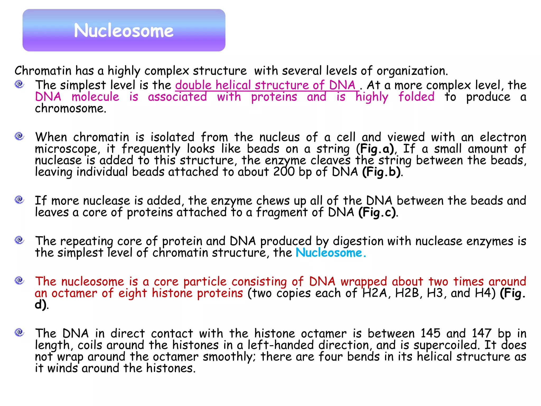 Chromosomes structure and function, Dr.Kamelsh shah, PSSHDA, KADI | PPT