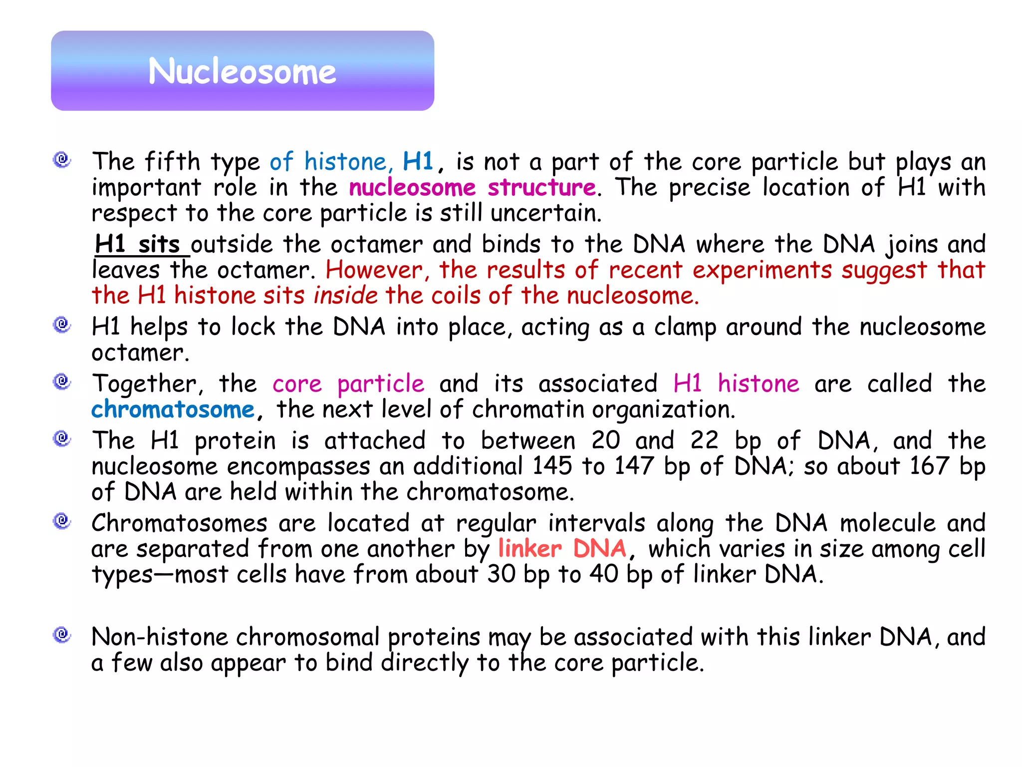 Chromosomes structure and function, Dr.Kamelsh shah, PSSHDA, KADI | PPT