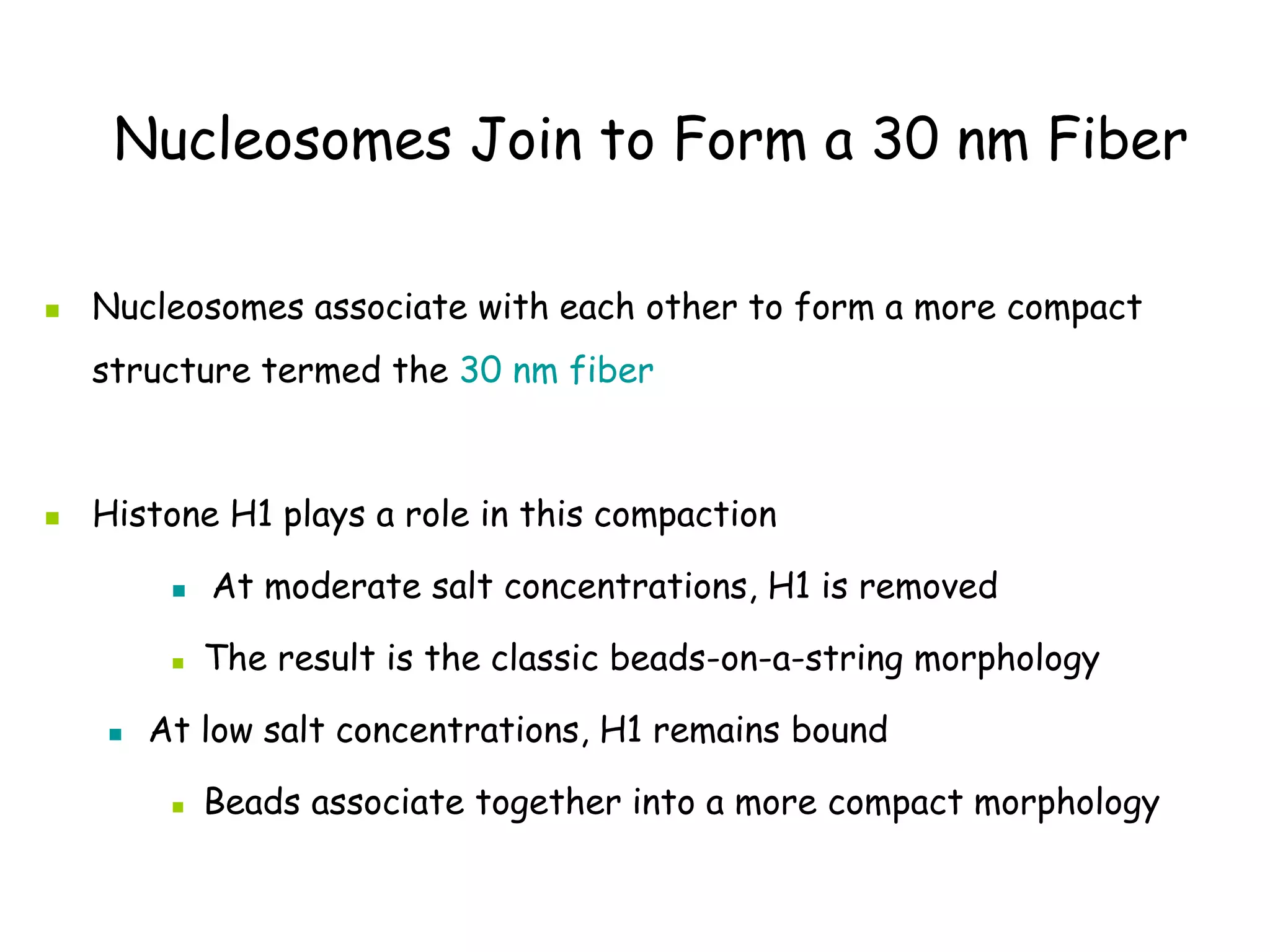 Chromosomes structure and function, Dr.Kamelsh shah, PSSHDA, KADI | PPT