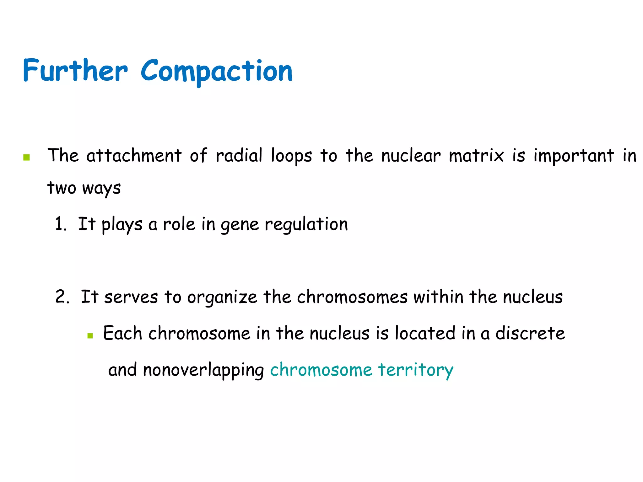 Chromosomes structure and function, Dr.Kamelsh shah, PSSHDA, KADI | PPT