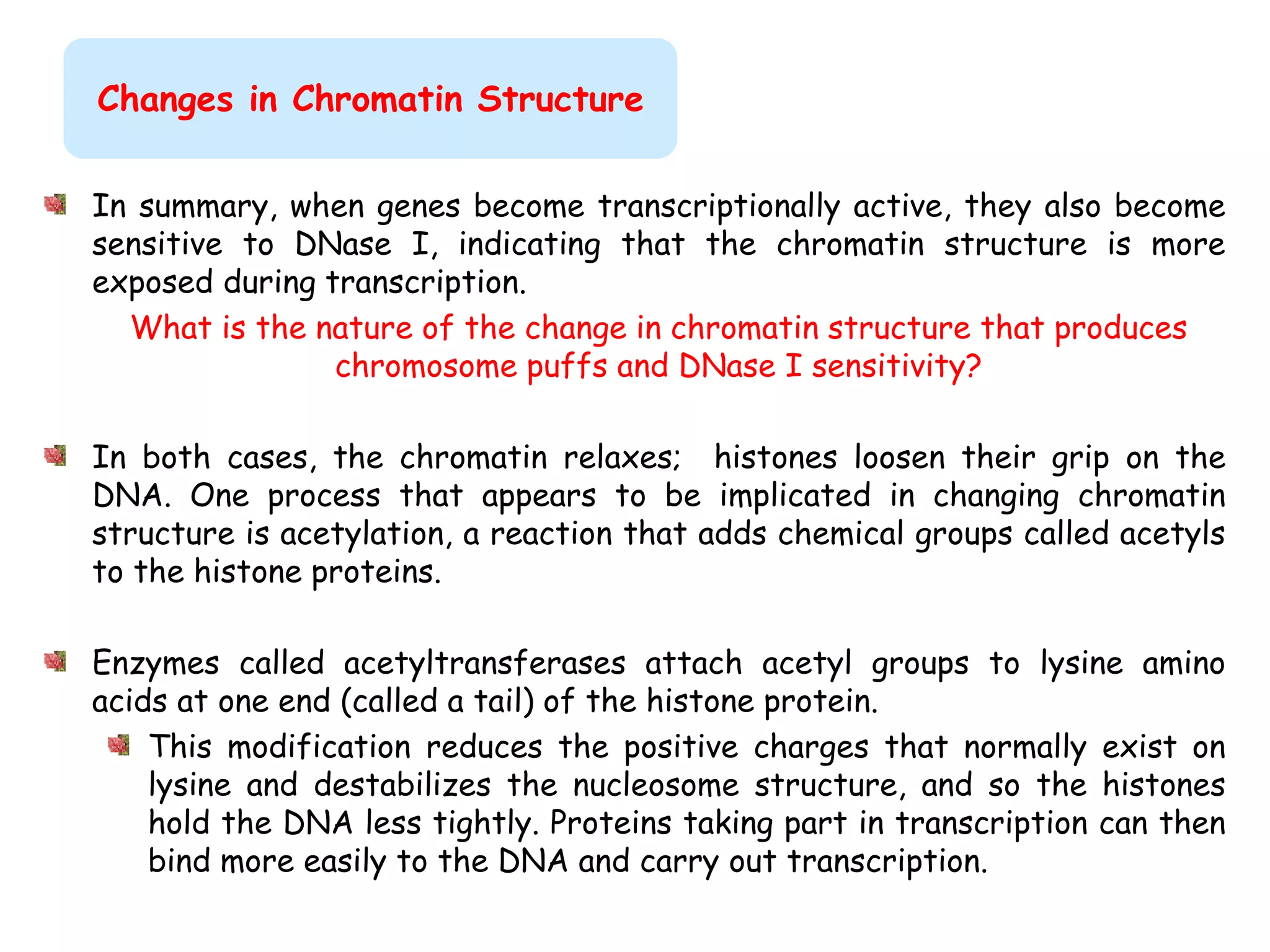 Chromosomes structure and function, Dr.Kamelsh shah, PSSHDA, KADI | PPT