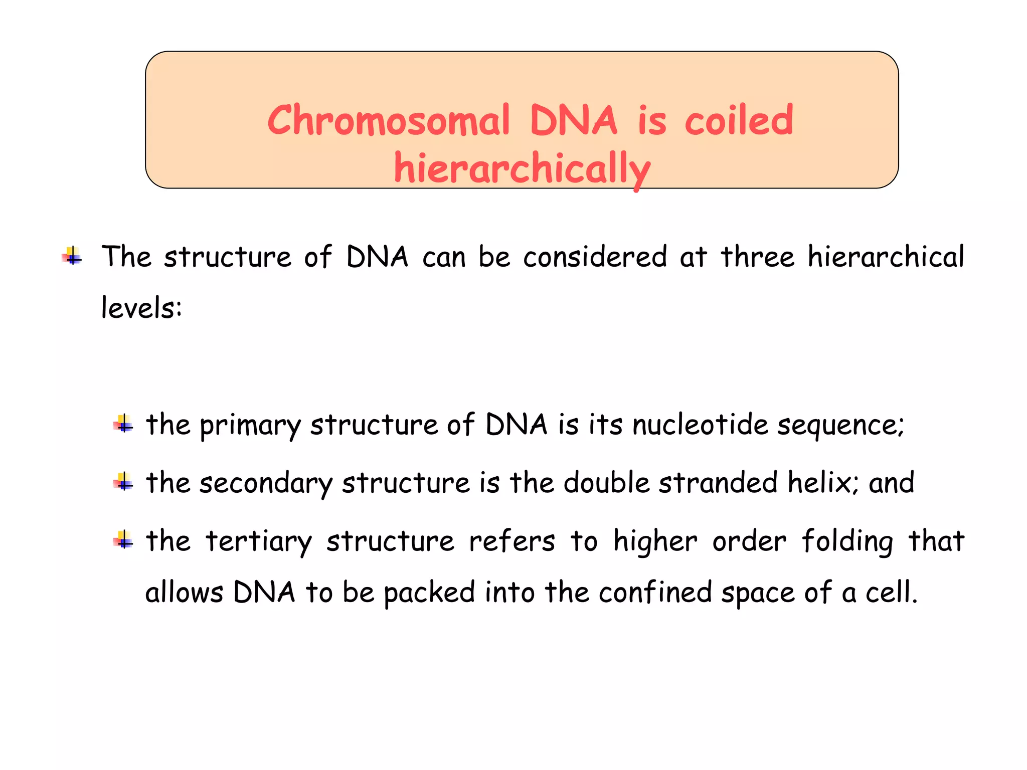 Chromosomes Structure And Function Drkamelsh Shah Psshda Kadi Ppt Biological Sciences