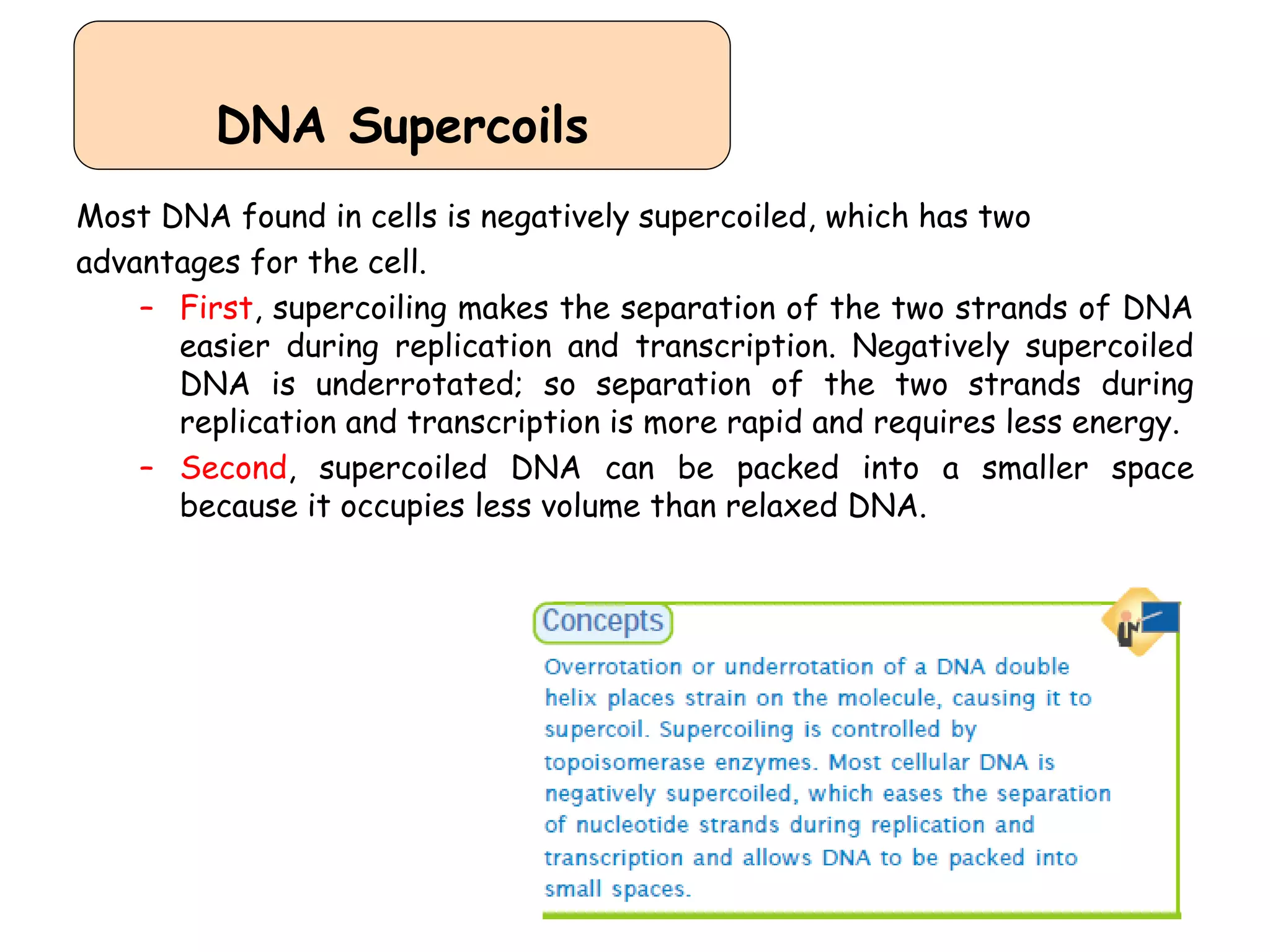 Chromosomes Structure And Function Drkamelsh Shah Psshda Kadi Ppt Biological Sciences