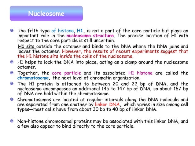 Chromosomes Structure And Function Drkamelsh Shah Psshda Kadi Ppt Biological Sciences