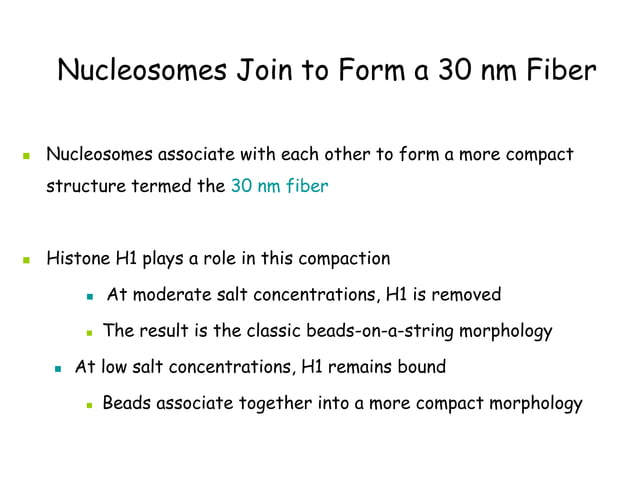 Chromosomes Structure And Function Drkamelsh Shah Psshda Kadi Ppt Biological Sciences