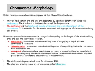 Chromosomes structure and function, Dr.Kamelsh shah, PSSHDA, KADI | PPT
