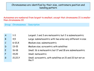Chromosomes structure and function, Dr.Kamelsh shah, PSSHDA, KADI | PPT