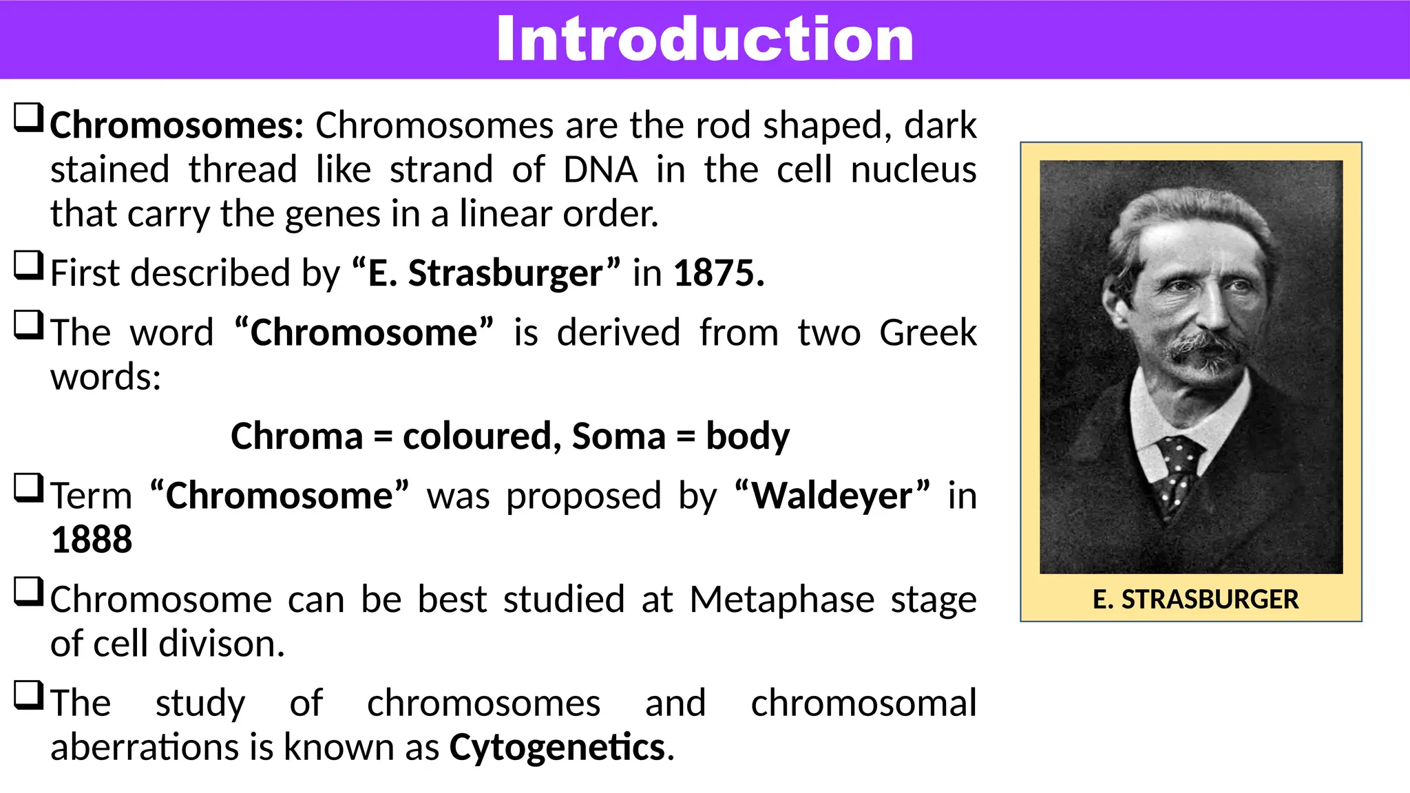 Chromosomes structure, function, special chromosomes | PPTX