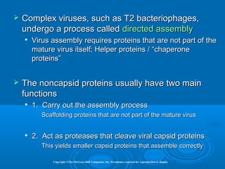 Chromosomestructure | PPT