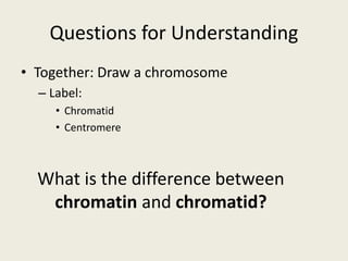 Chromosome structure | PPT